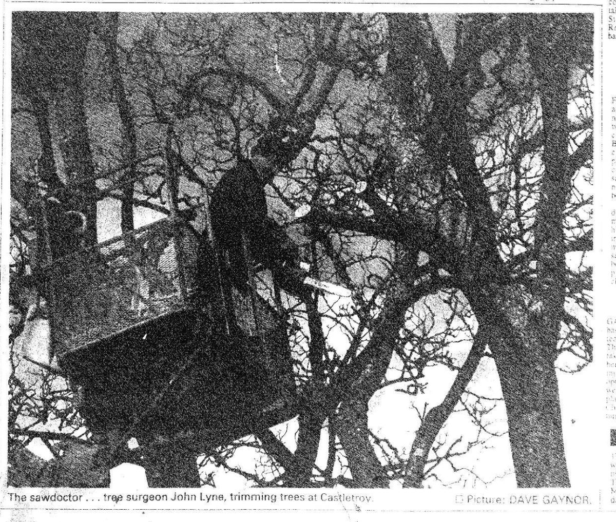 About us - Abatis Dublin Tree Services